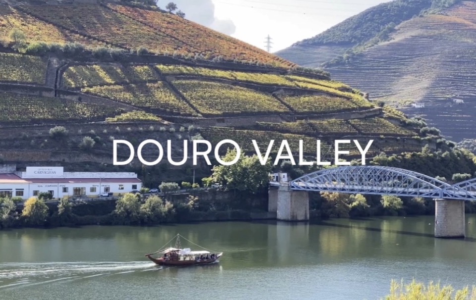 Douro Valley * Destination Zoomer