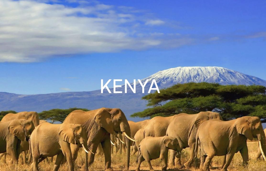 Kenya - Africa - Where to Stay See Eat and Drink * Destination Zoomer