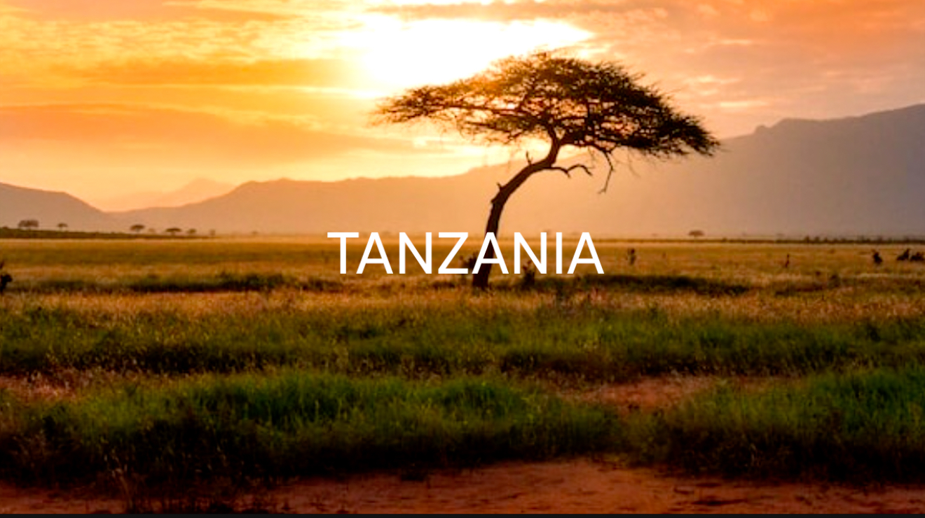 Tanzania - Africa - Where to Stay See Eat and Drink * Destination Zoomer